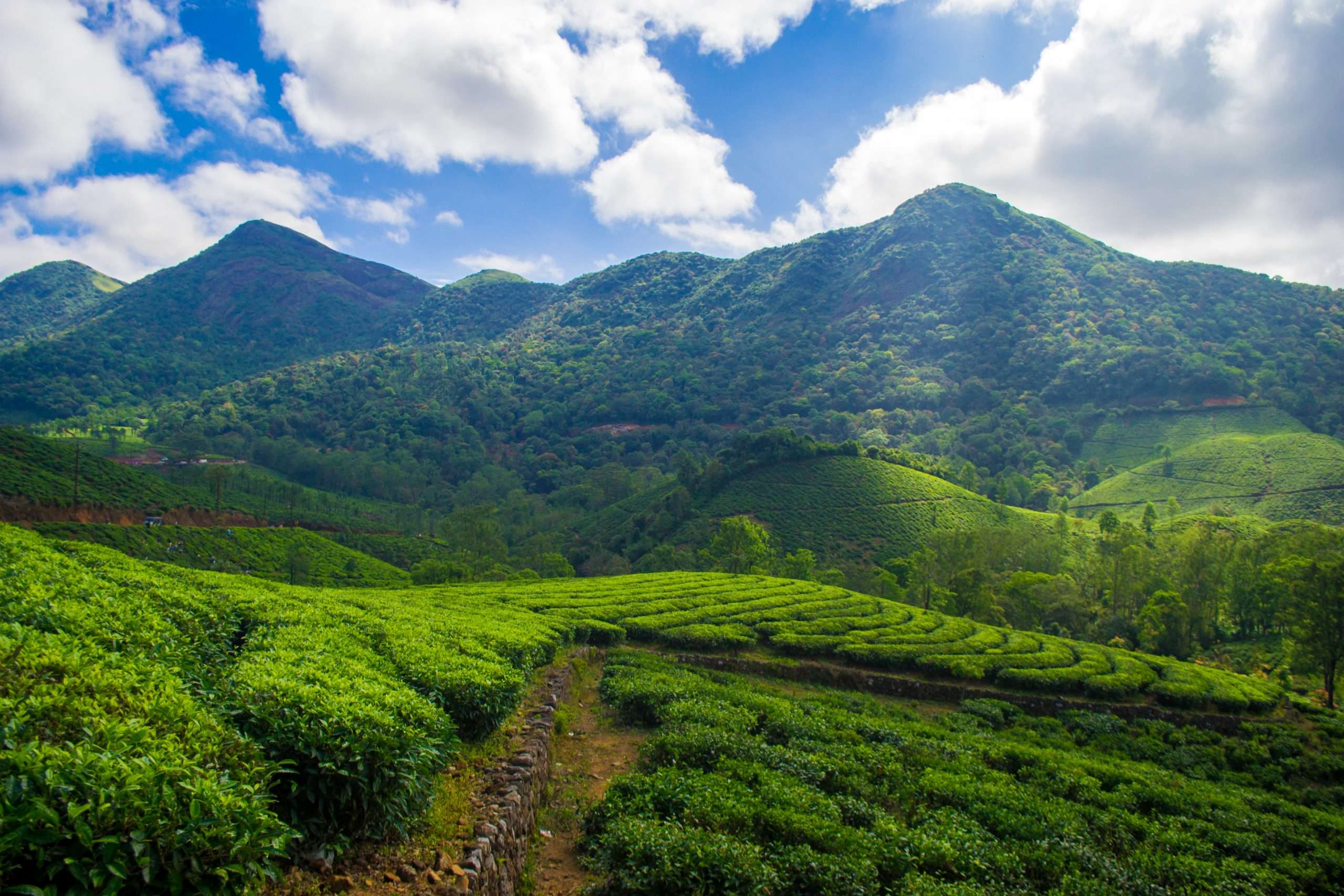 Vagamon Tour Package 3 Days 2 Nights - Explore Best Tour
